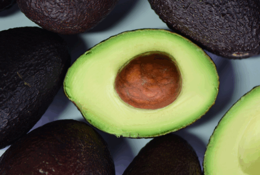 Fabbri Group - Gruppo Fabbri | Official WebSite